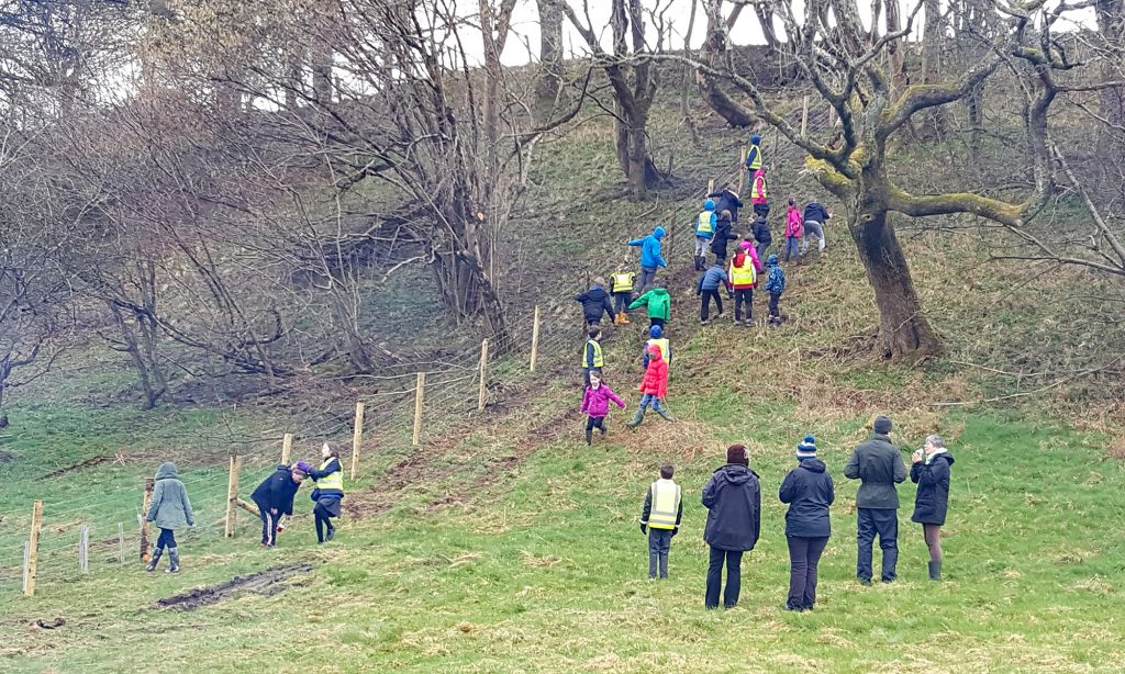 primary school - LLANGATTOCK COMMUNITY WOODLANDS
